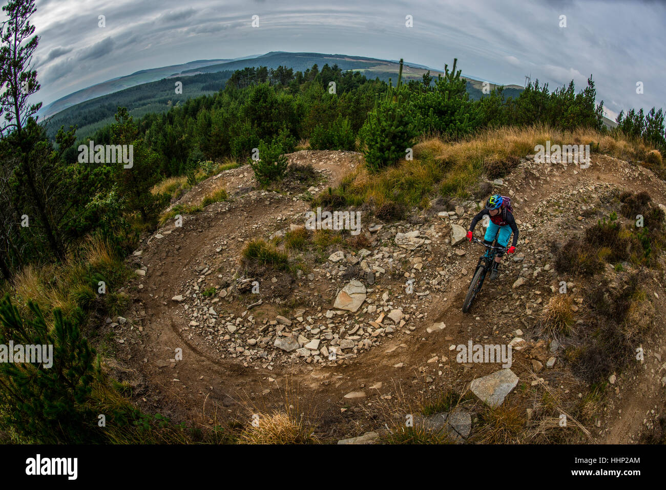 Afan valley forest park visitor centre hi-res stock photography and ...