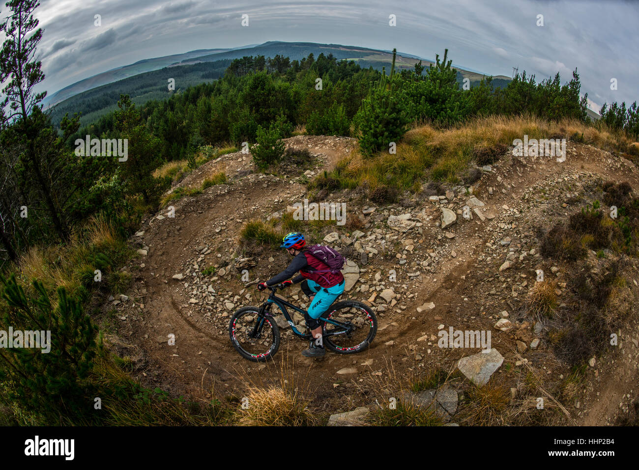 Afan valley forest park visitor centre hi-res stock photography and ...