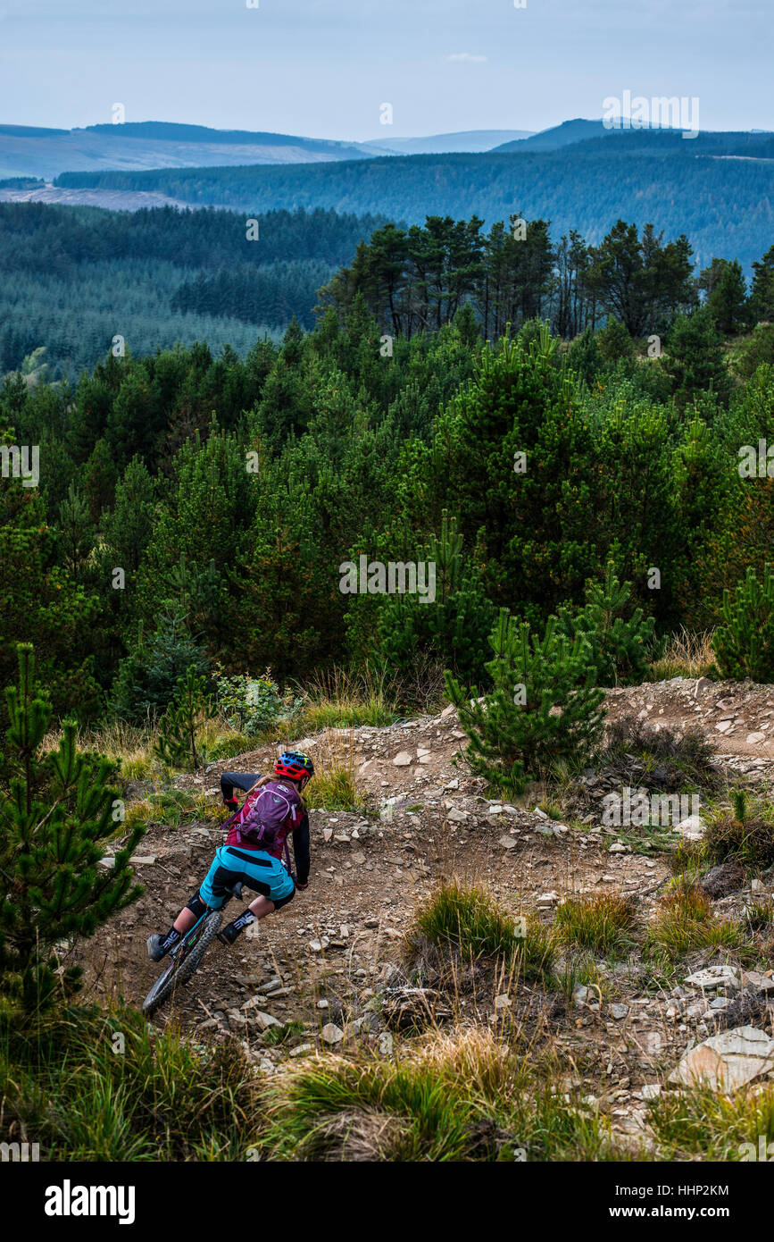 A female mountain biker rides a trail at Glyncorrwg in the Afan Valley ...
