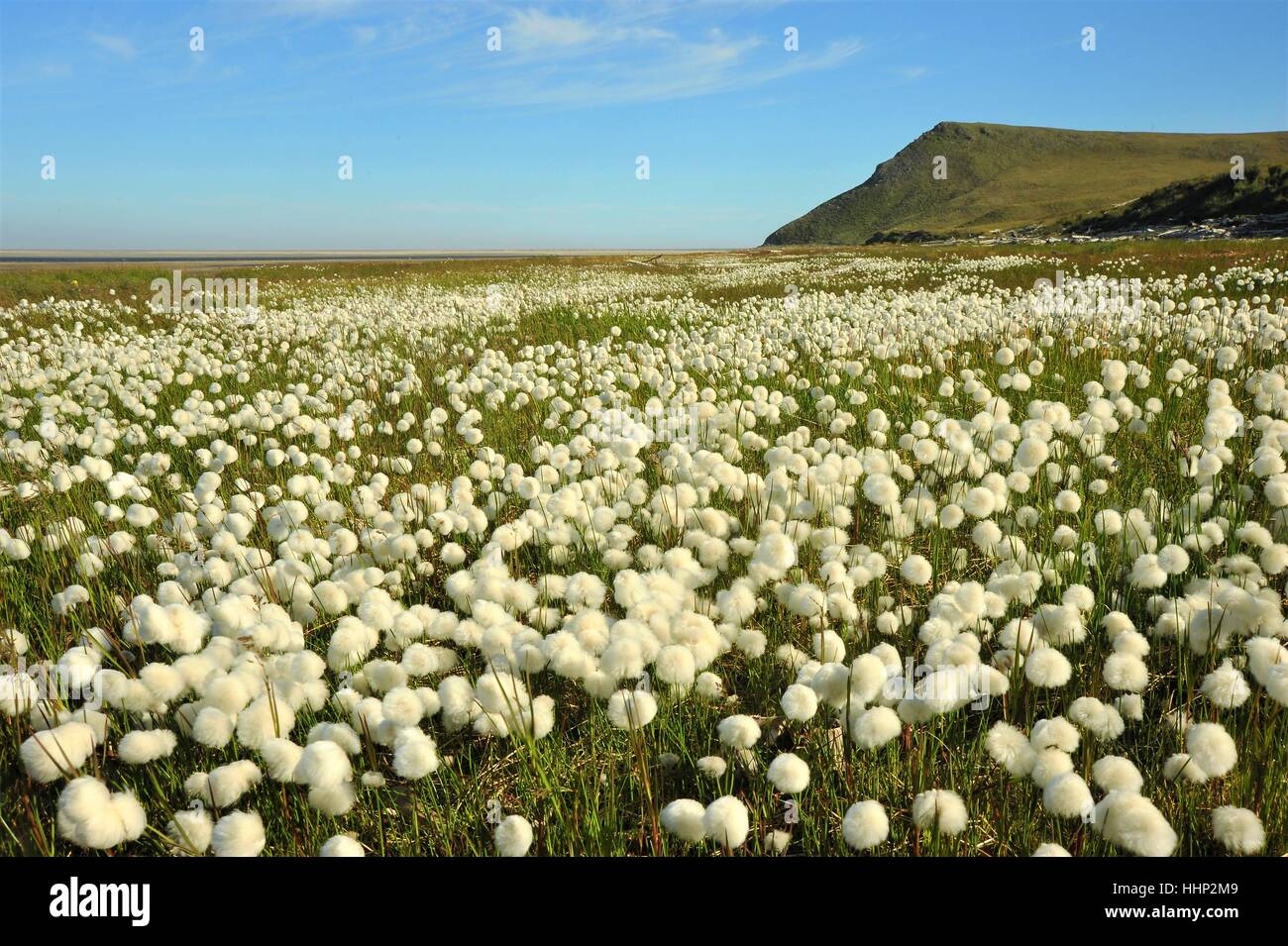 Lena river siberia hi-res stock photography and images - Alamy