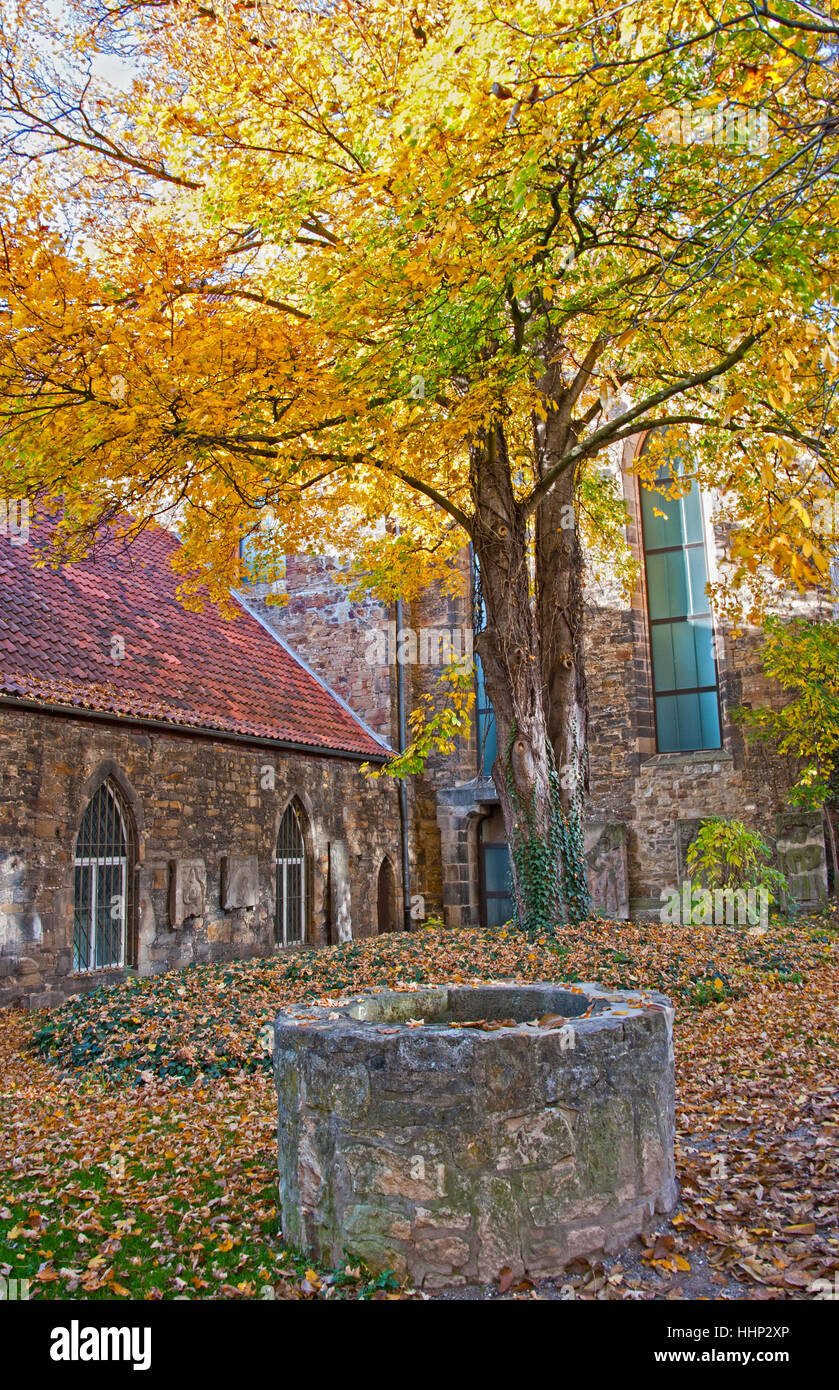 shine, shines, bright, lucent, light, serene, luminous, tree, trees ...