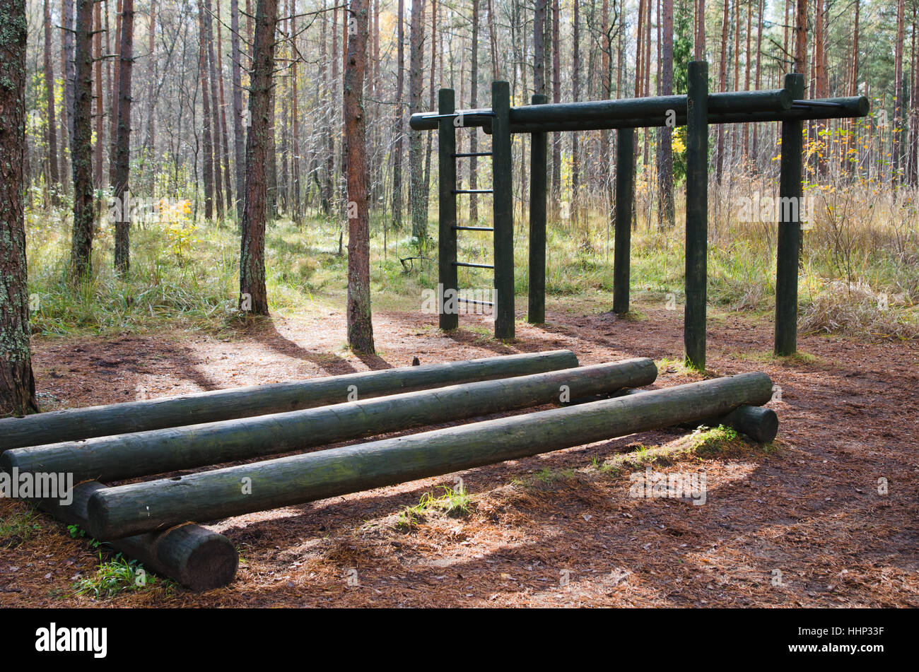 board, tool, health, sport, sports, lifestyle, tree, park, apparatus ...
