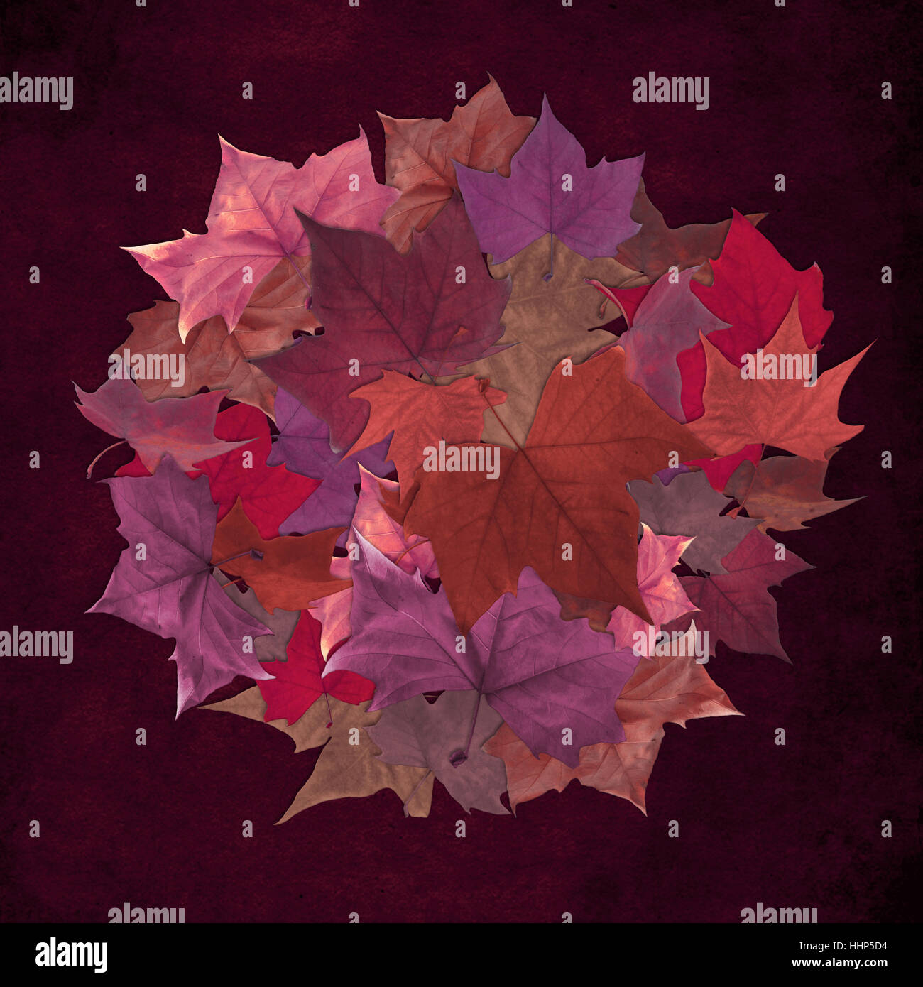 close, beautiful, beauteously, nice, leaf, object, colour, model ...