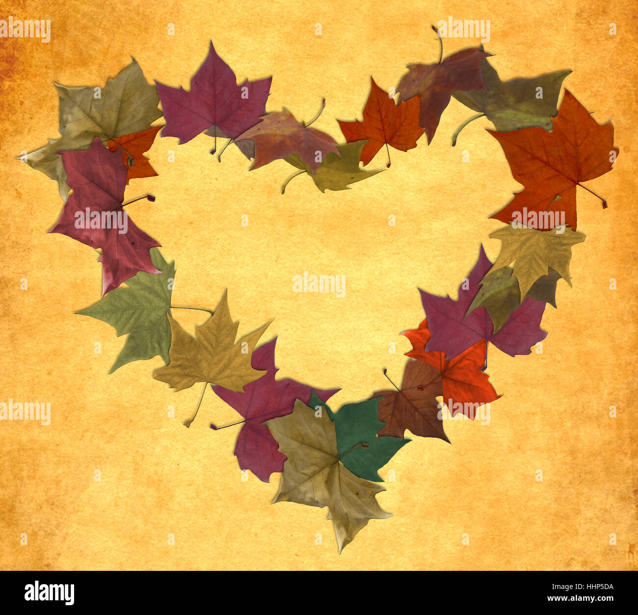 close, beautiful, beauteously, nice, leaf, object, isolated, colour ...