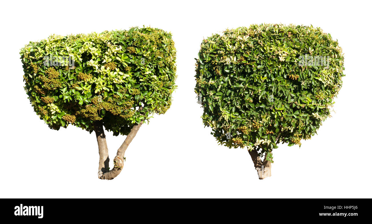 object, single, big, large, enormous, extreme, powerful, imposing ...