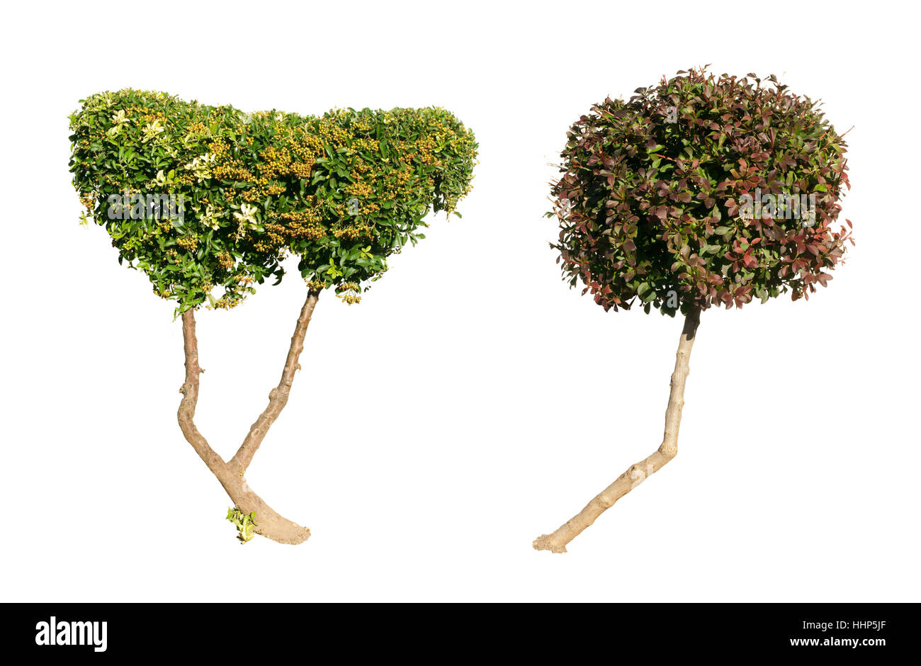 object, single, big, large, enormous, extreme, powerful, imposing ...