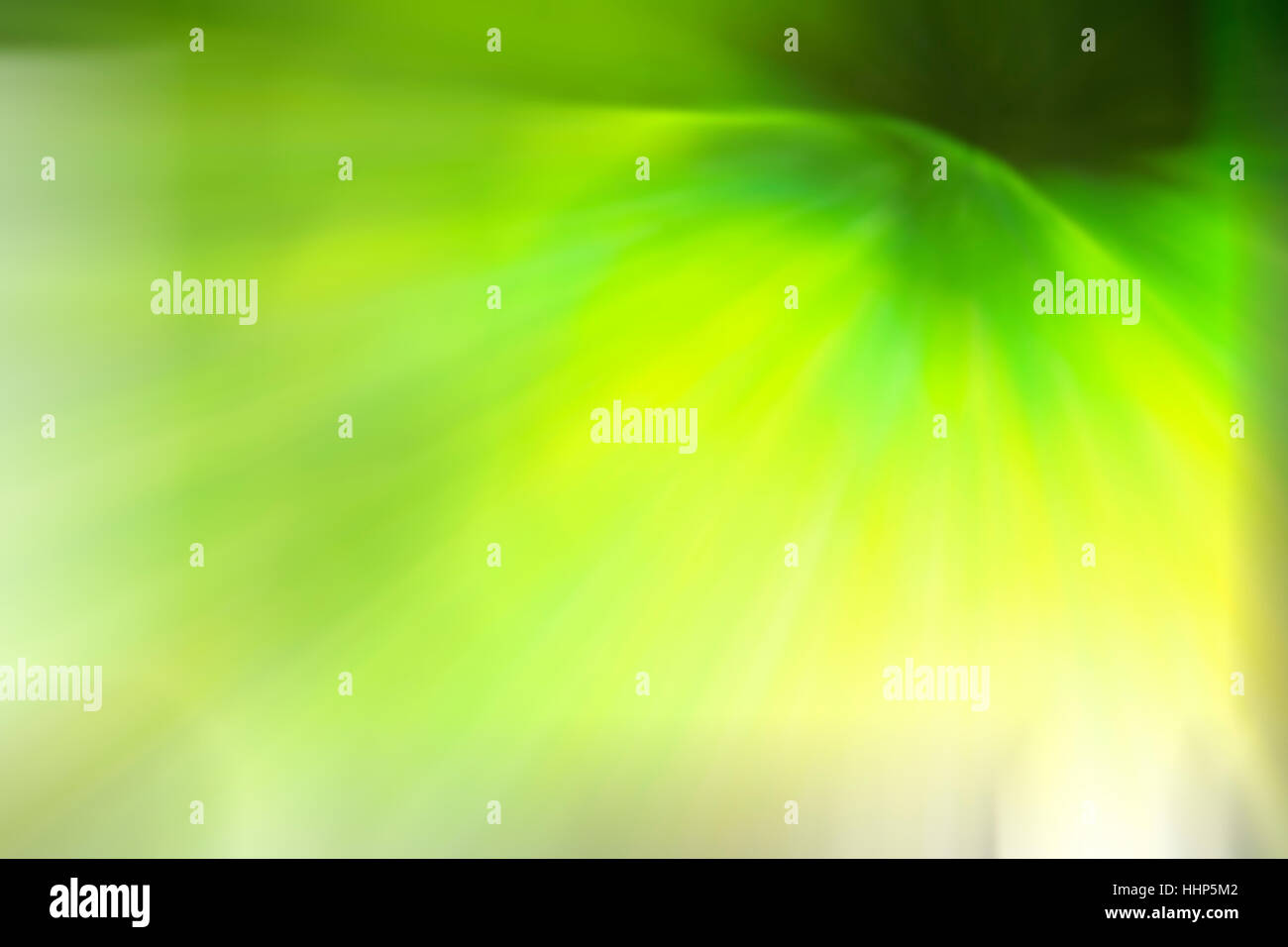 leaf, art, composition, model, design, project, concept, plan, draft ...