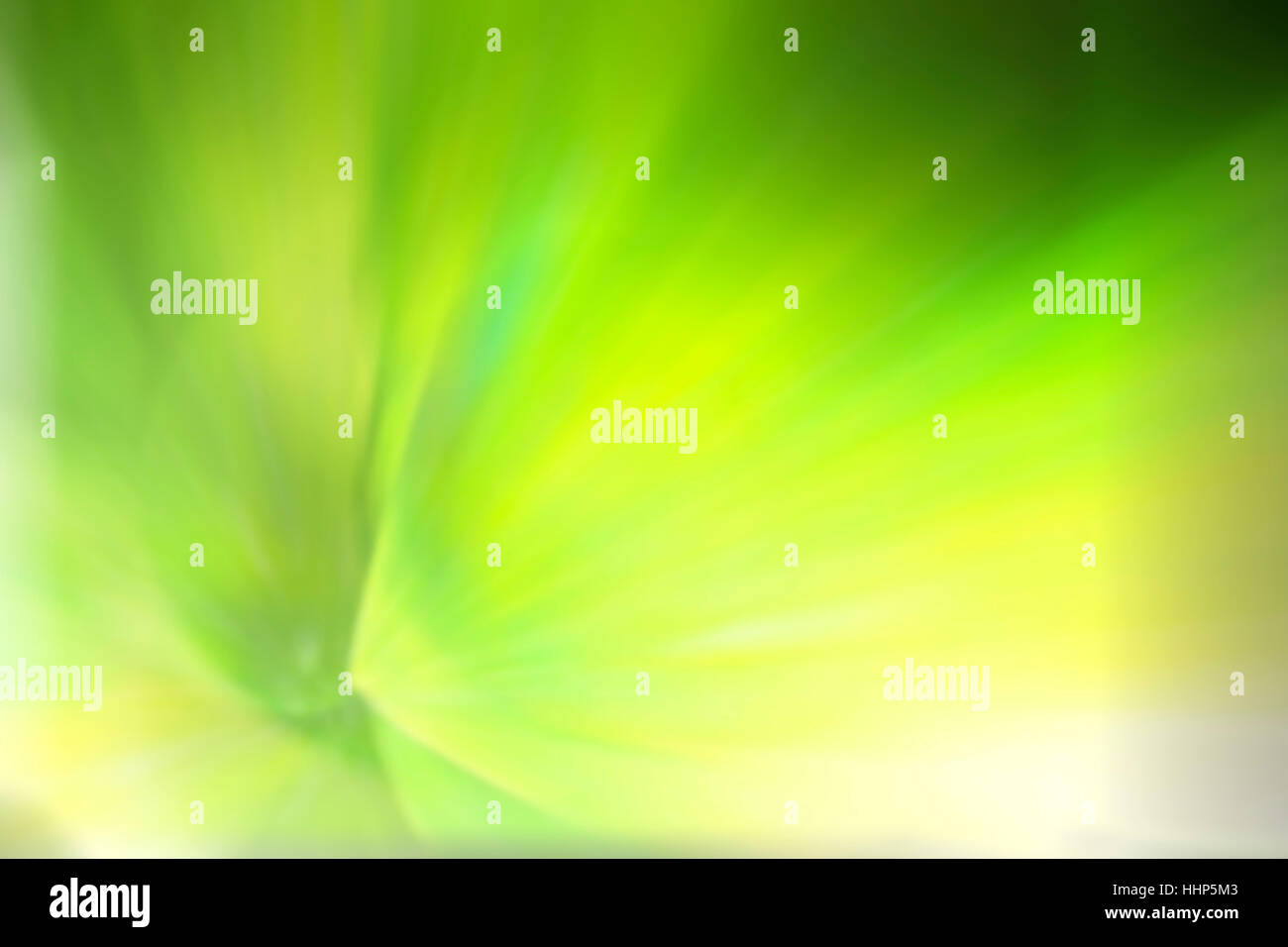 leaf, art, composition, model, design, project, concept, plan, draft ...