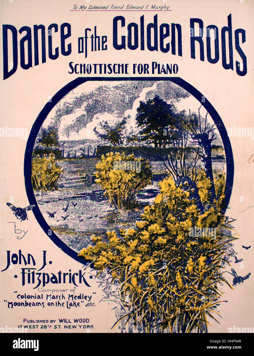 Sheet music cover image of the song 'DAnce of the Golden Rods ...