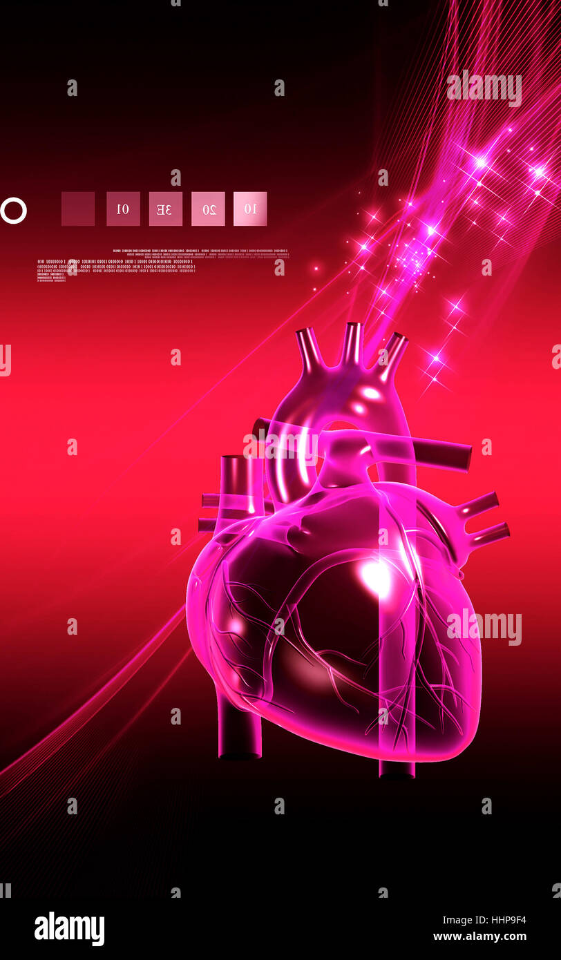 education, health, medicinally, medical, circulation, graphics, colour ...