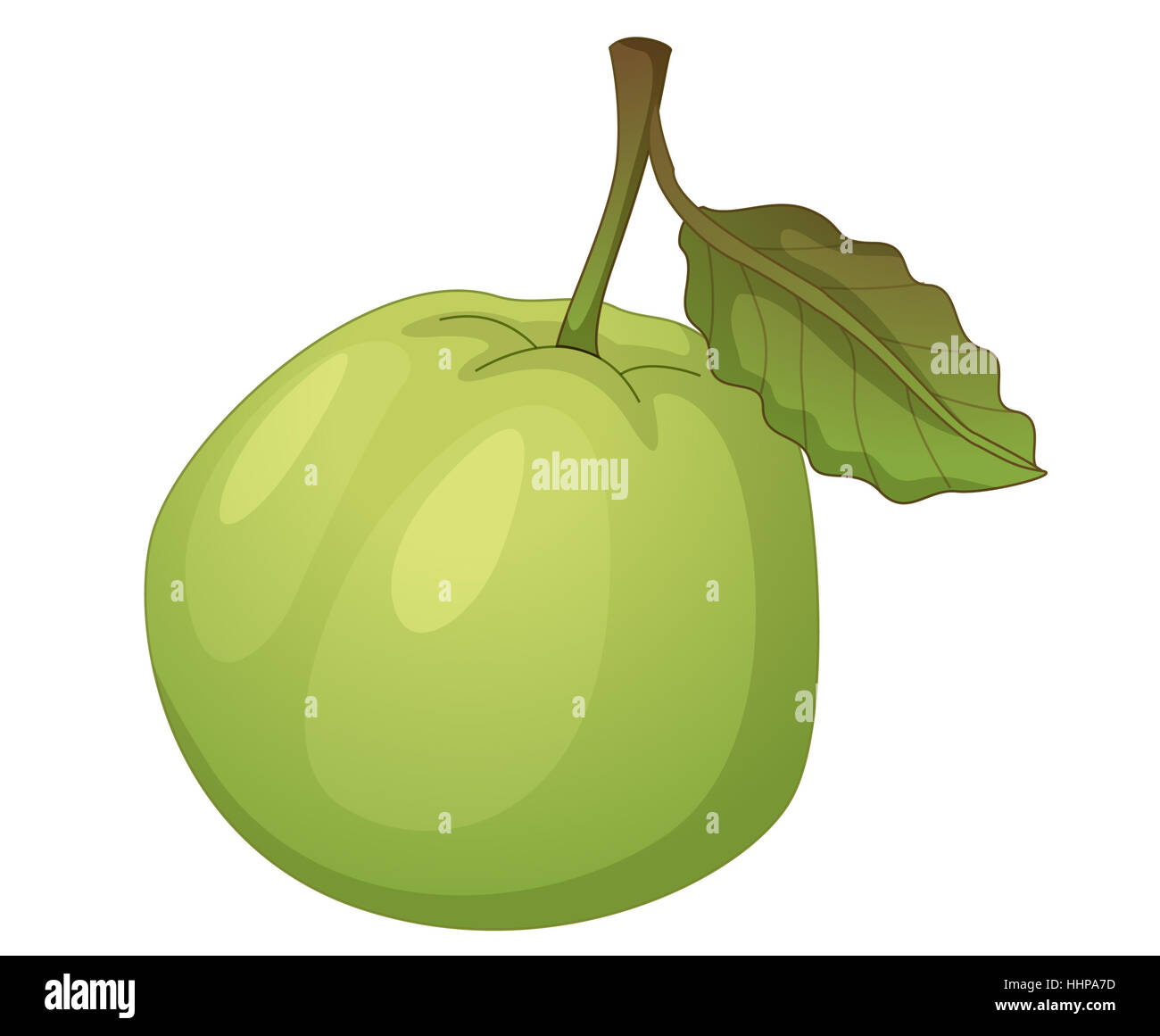 Illustration of friut on a white background Stock Photo - Alamy