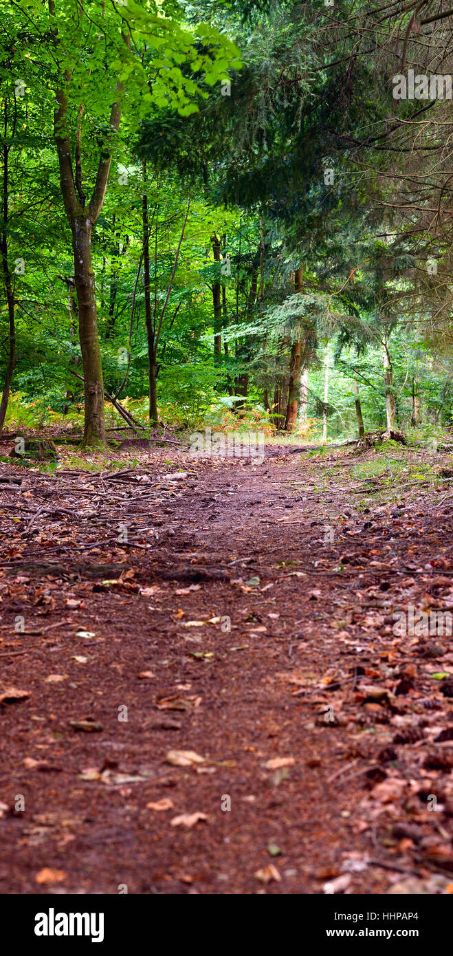 big, large, enormous, extreme, powerful, imposing, immense, relevant ...