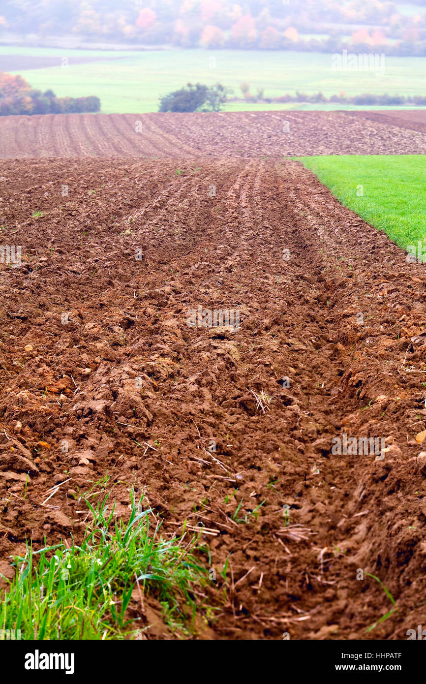 ground, soil, earth, humus, agriculture, farming, field, fog, haze ...