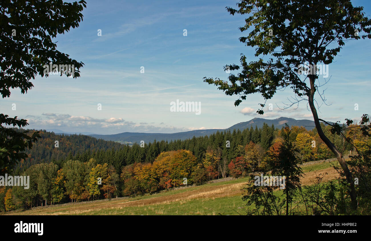 tree, sight, view, outlook, perspective, vista, panorama, lookout Stock ...
