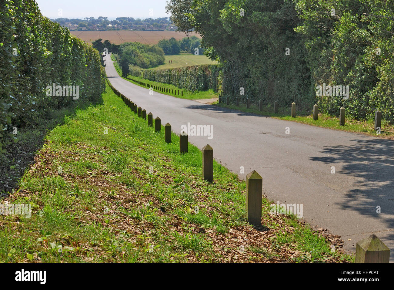hill, england, straight, road, street, tree, horizon, field, hedge ...