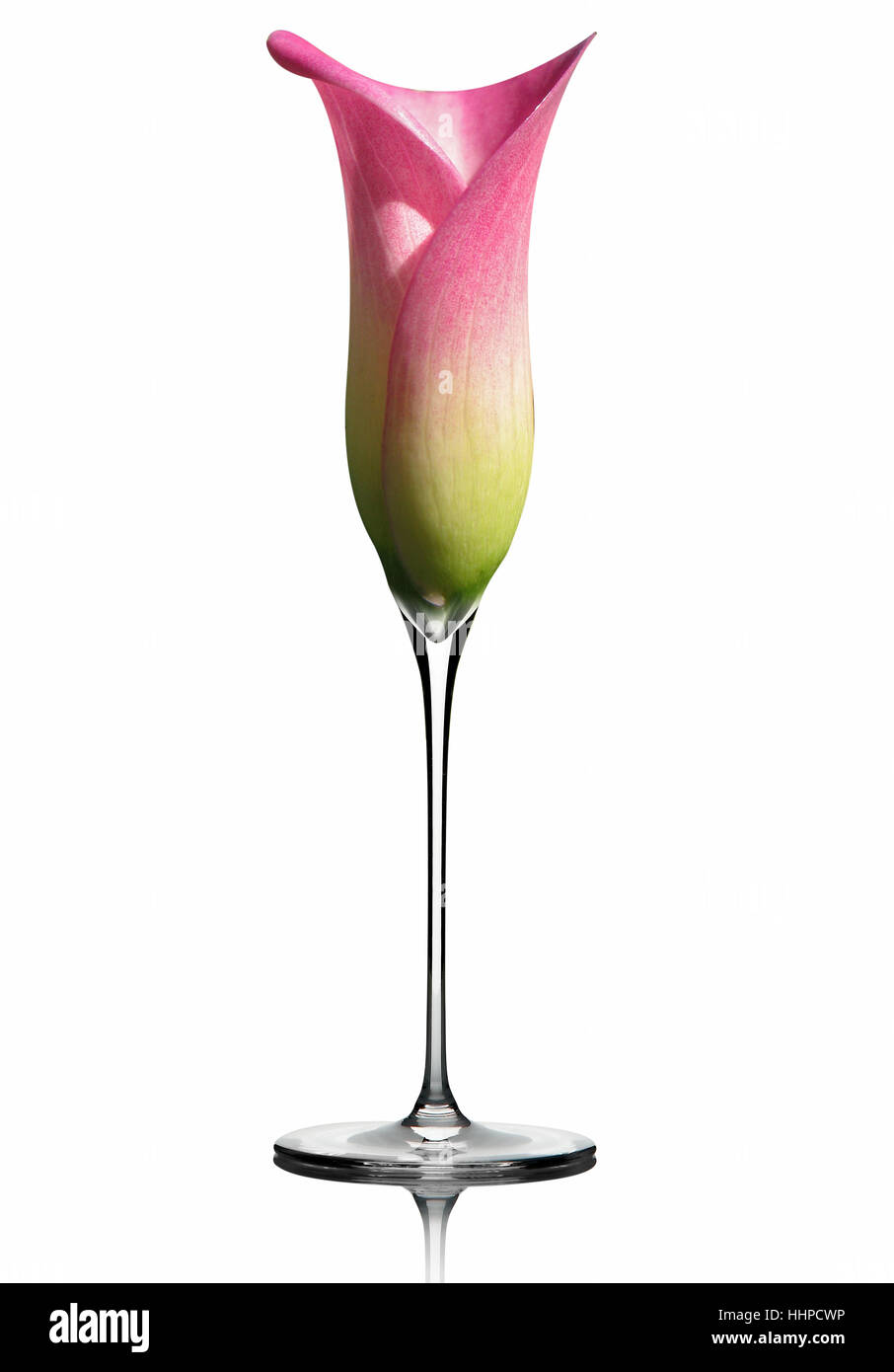 Glass lilies hi-res stock photography and images - Alamy