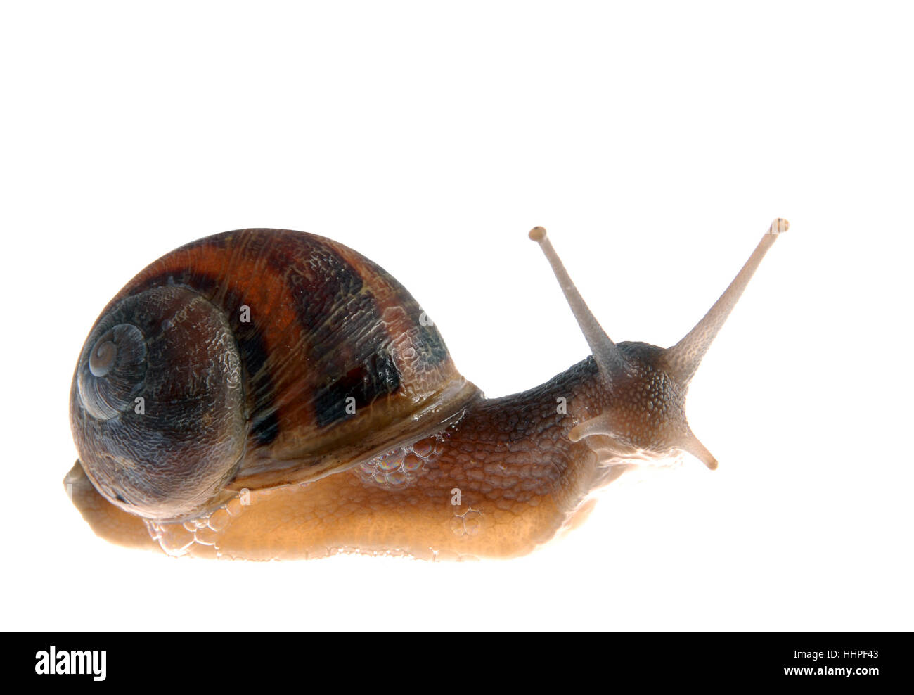 Slip over studio hi-res stock photography and images - Alamy