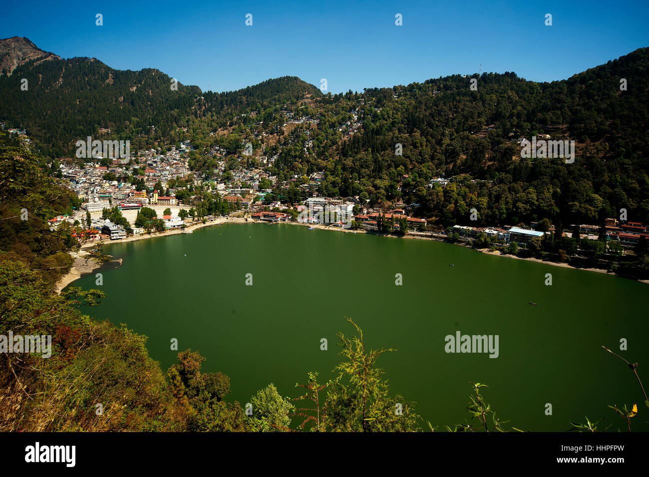 Pine forest in uttarakhand hi-res stock photography and images - Alamy