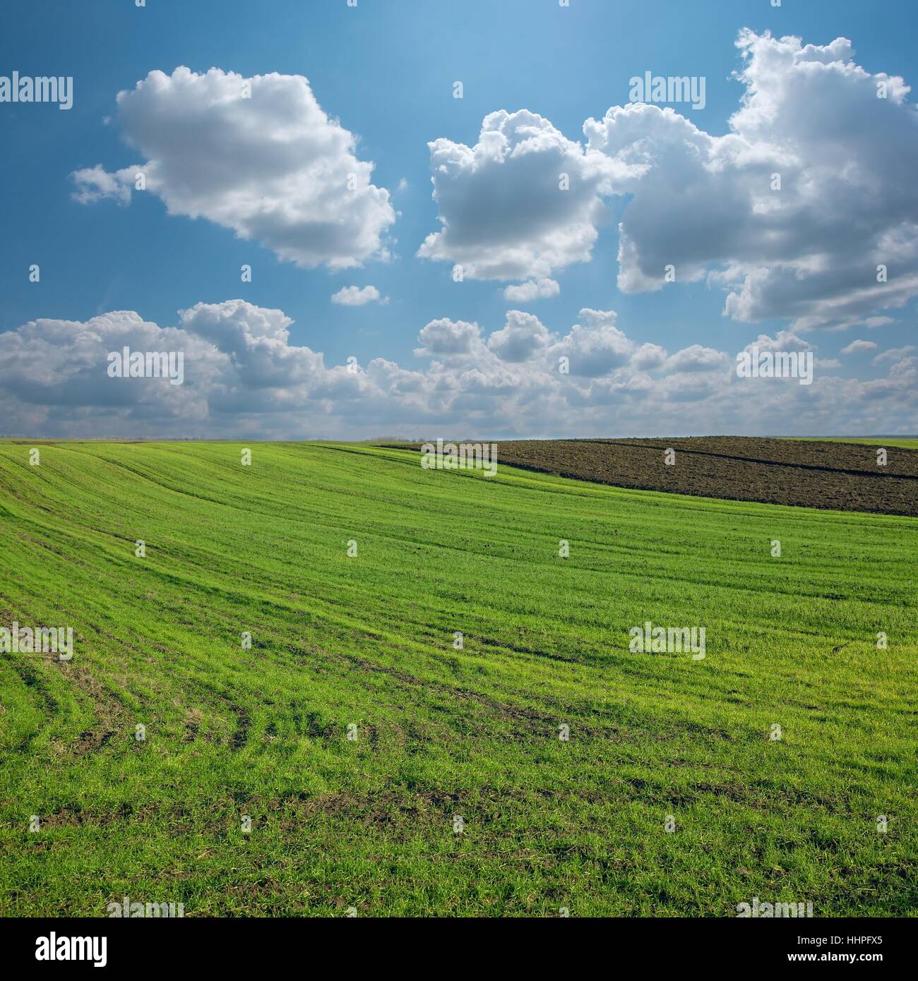 agricultural, agriculture, farming, field, growth, land, grow, realty ...