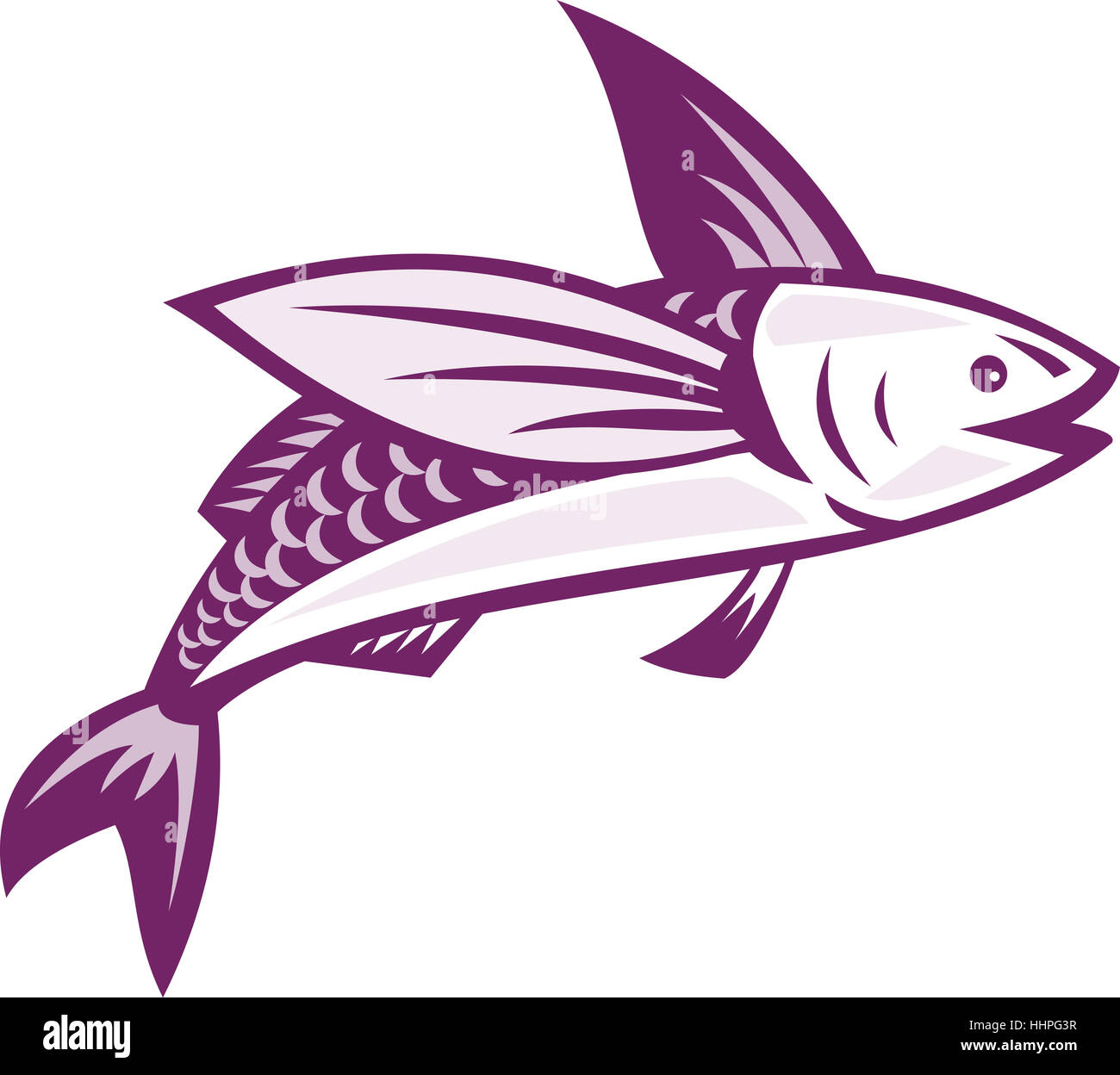 Illustration of a flying fish done in retro style on isolated white ...