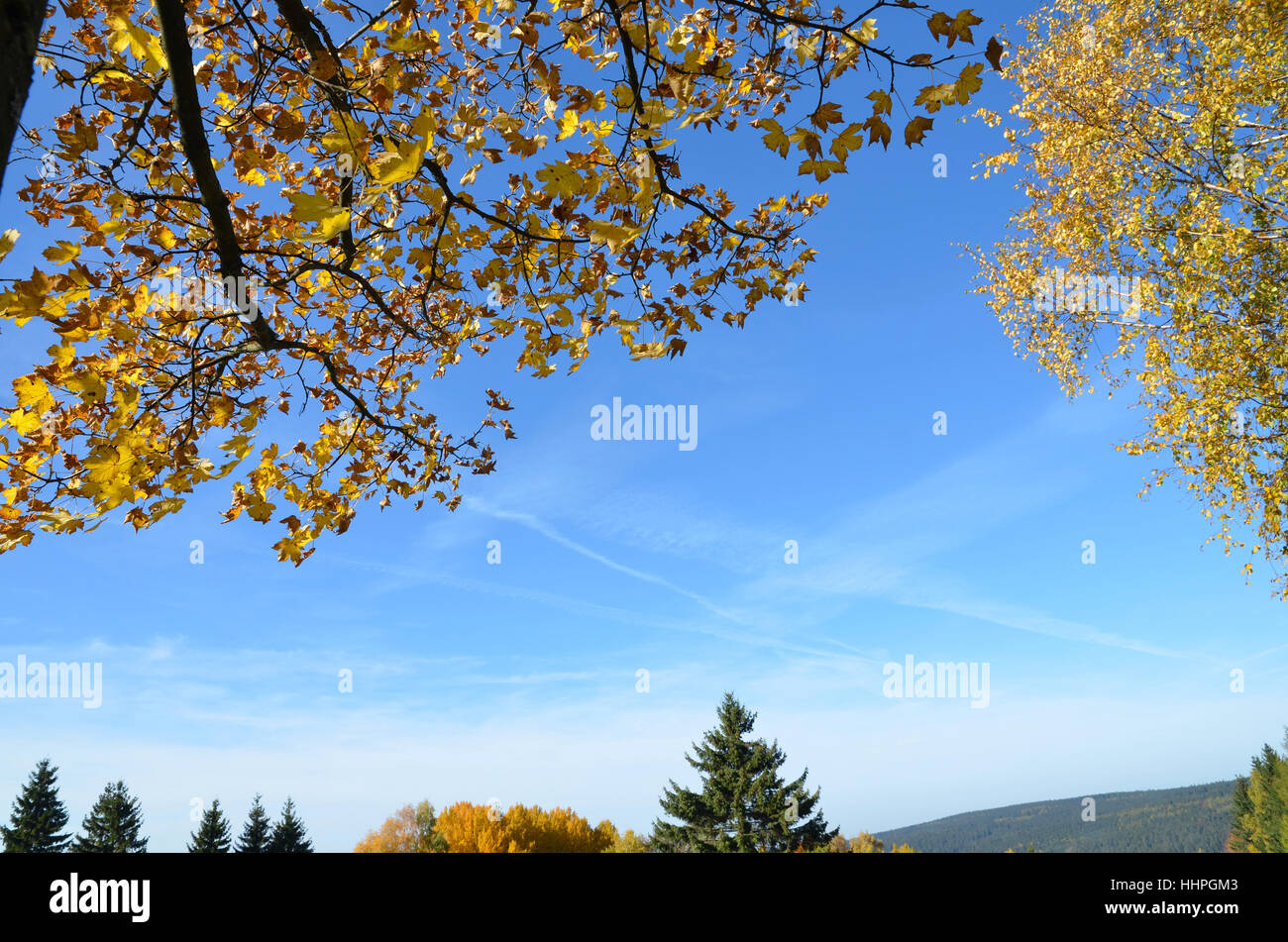 Book leaf hi-res stock photography and images - Alamy