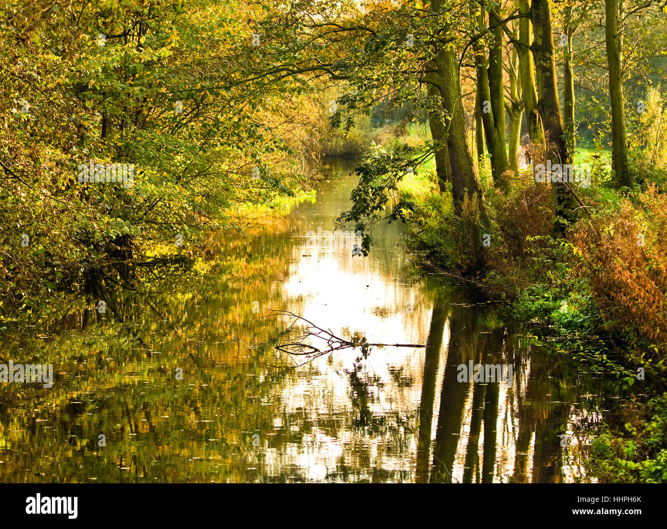 tree, trees, park, landscape, scenery, countryside, nature, seasonal ...