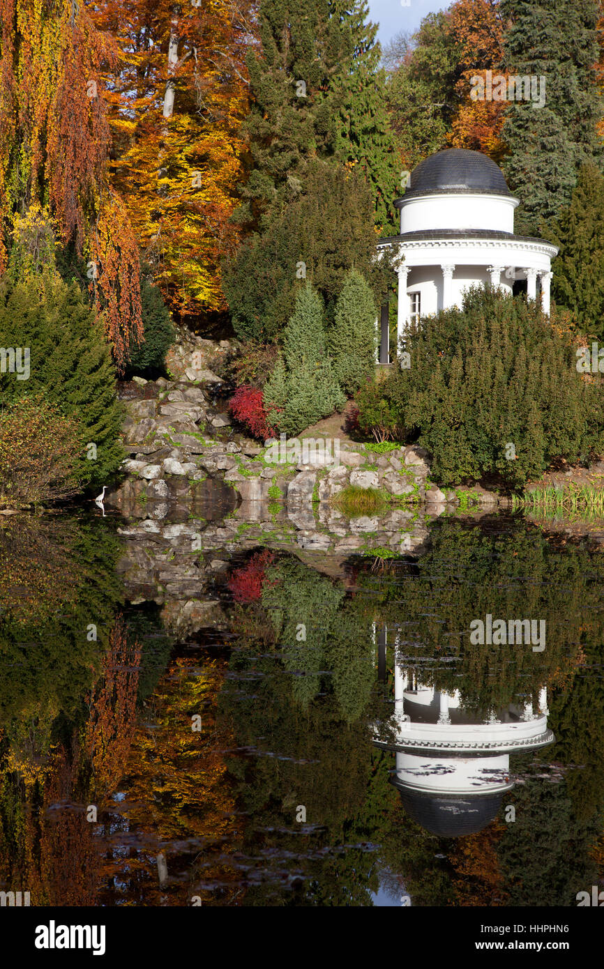 autumnal, portrait format, fall, autumn, shine, shines, bright, lucent ...
