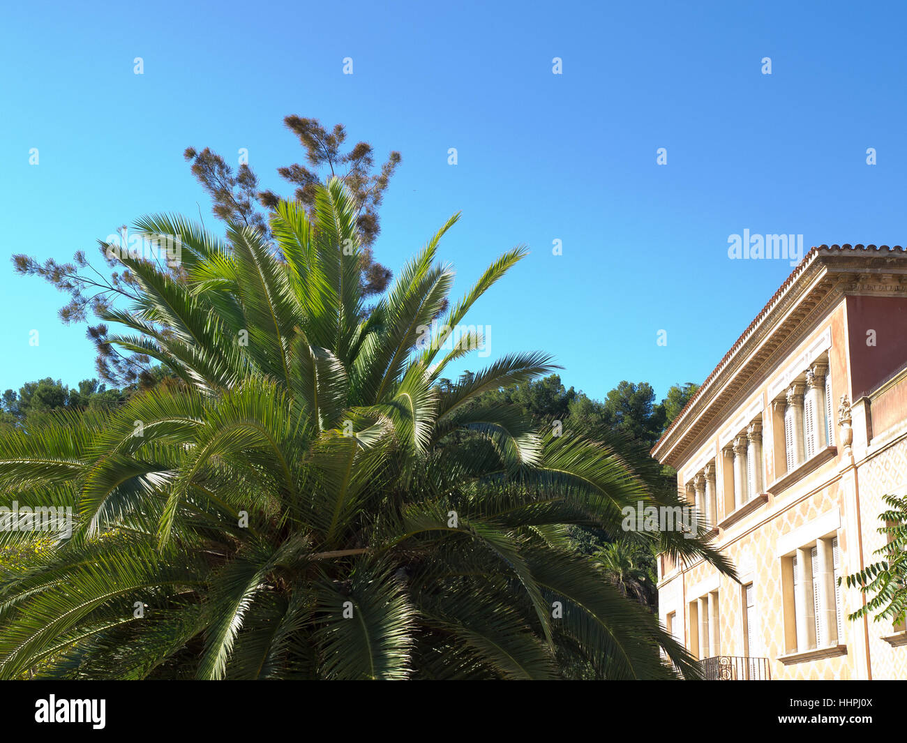 tower, pillar, jamboree, barcelona, tower, tree, trees, flow, columns ...