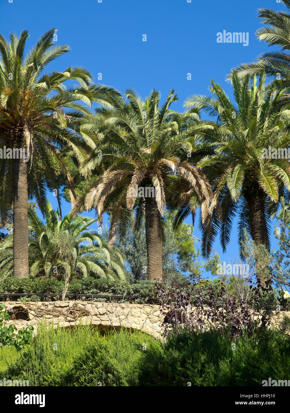 tower, pillar, jamboree, barcelona, tower, tree, trees, flow, columns ...