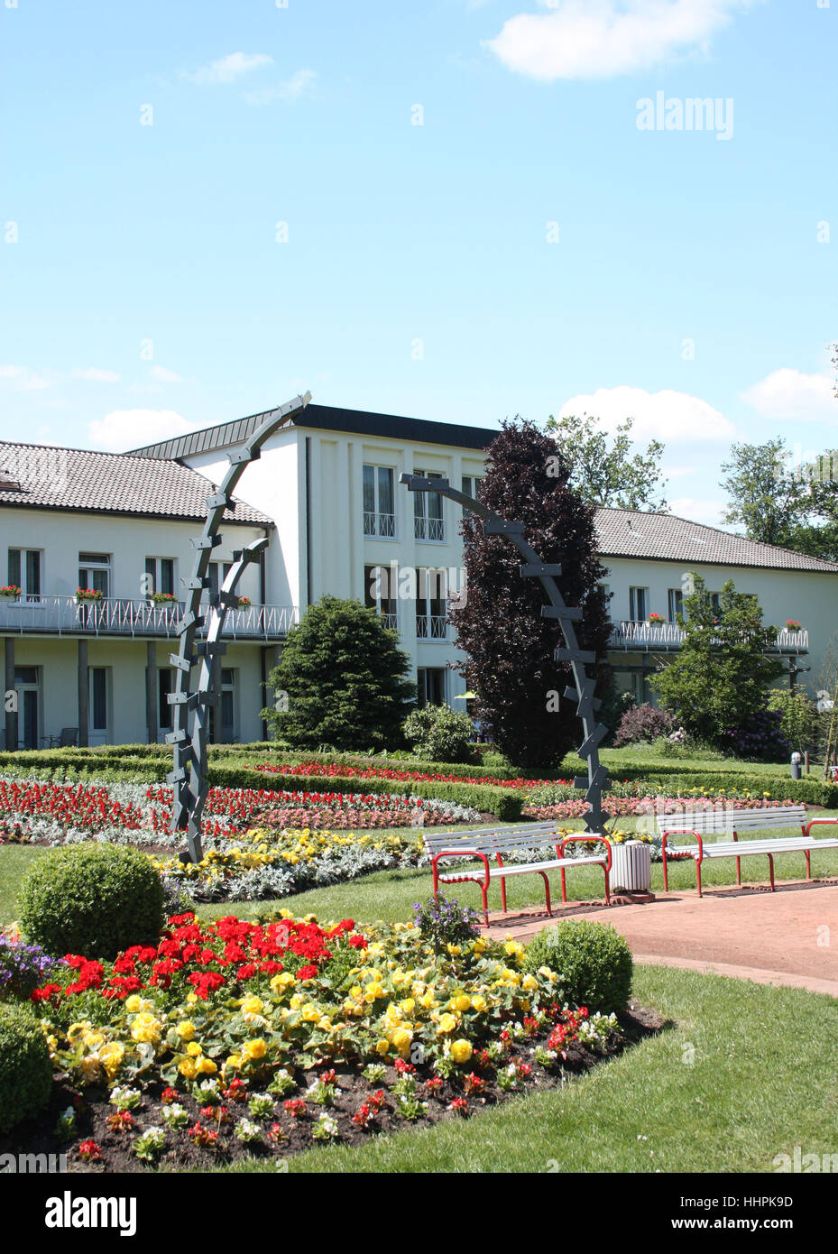 blue, park, plant, flower, flowers, sightseeing, races, germany, german ...