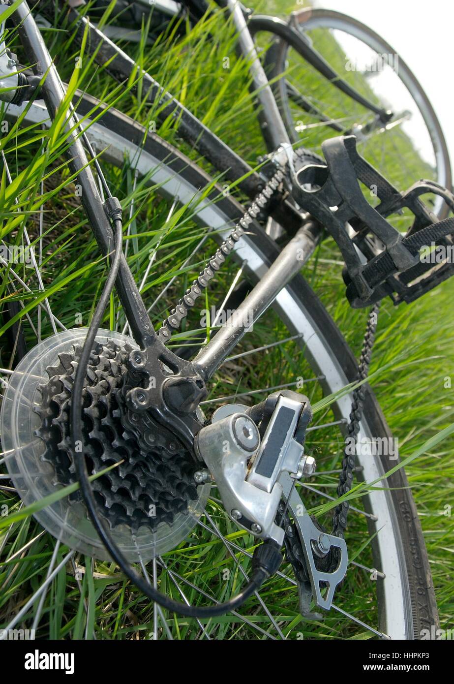 Bicycle on a field with green grass Stock Photo - Alamy