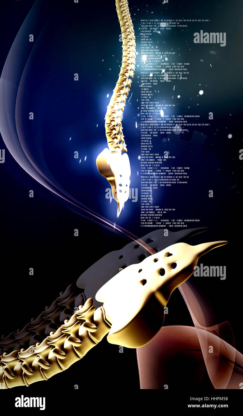 health, medicinally, medical, graphics, colour, illustration, stretch ...