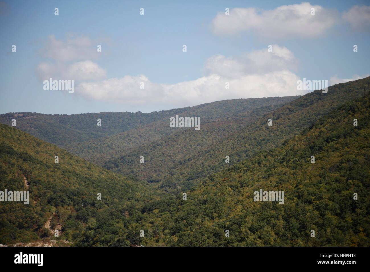 tree, trees, mountains, hike, go hiking, ramble, flora, highlands ...
