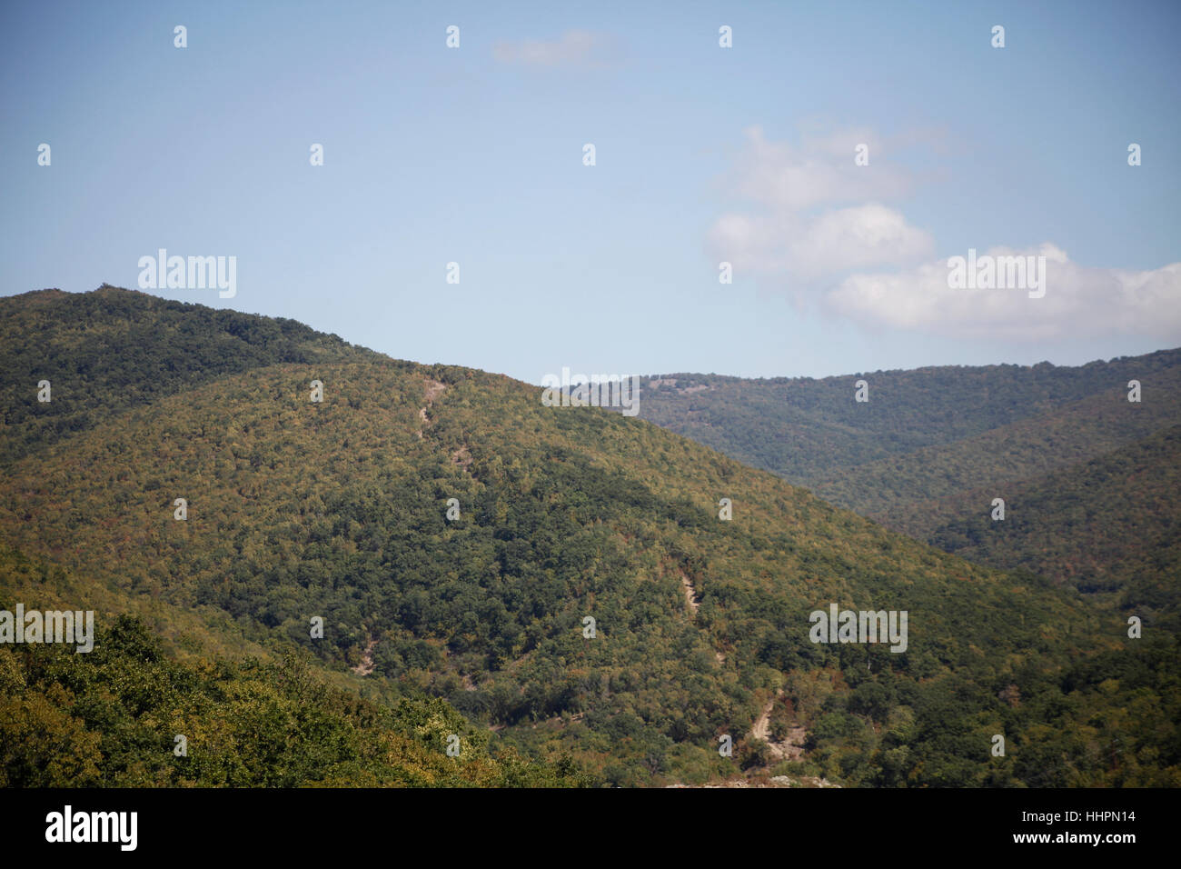 tree, trees, mountains, hike, go hiking, ramble, flora, highlands ...