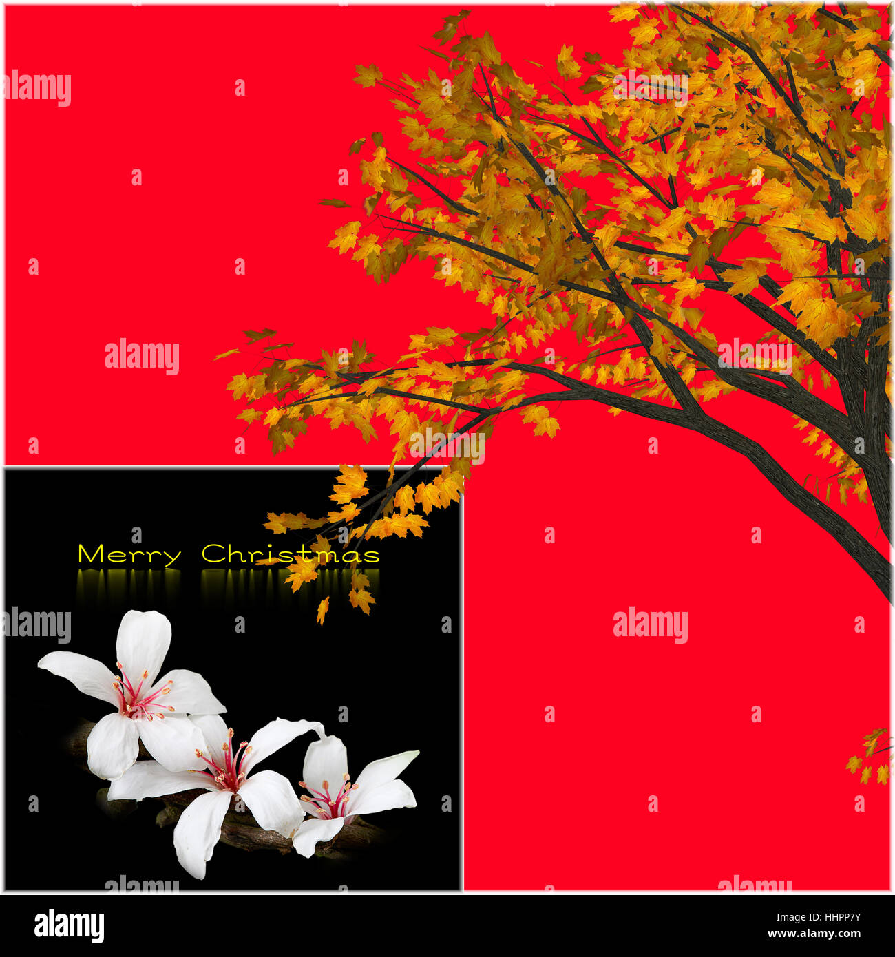 type, present, greeting, model, build, art, design, project, concept ...