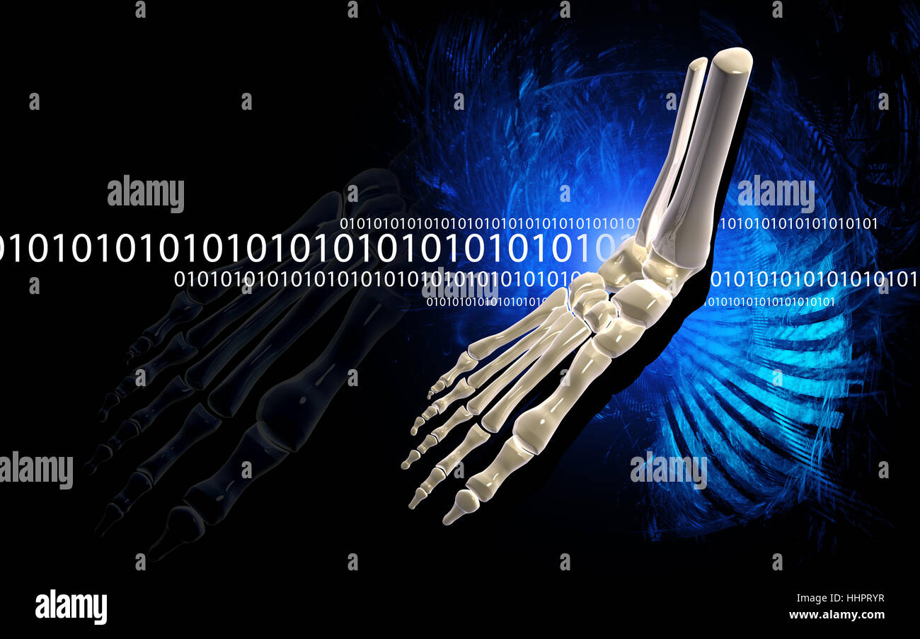 medicinally, medical, graphics, colour, human, human being, foot, toe ...