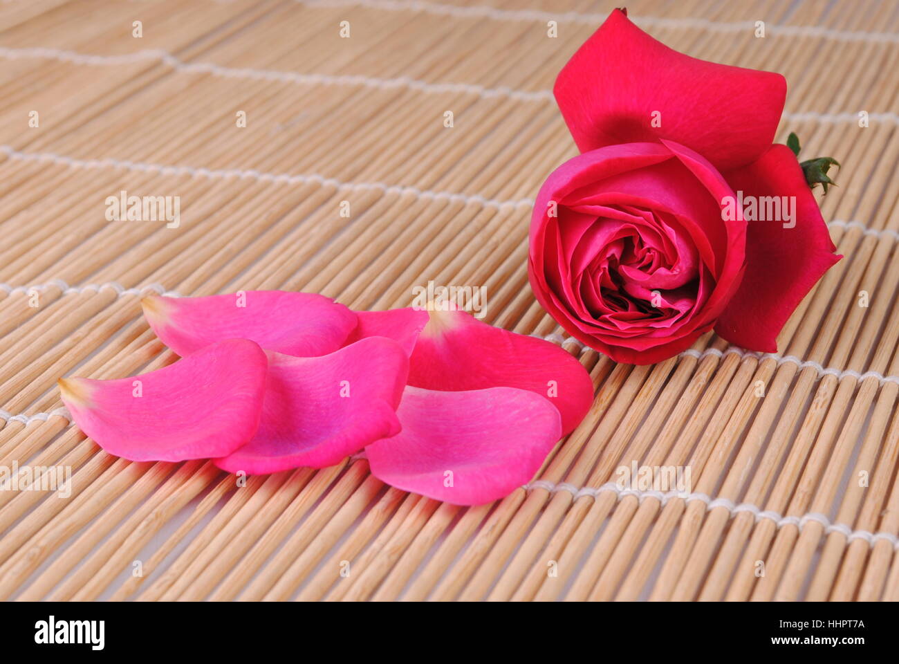 detail, flower, plant, rose, decor, bamboo, petal, harmony, card, mat ...