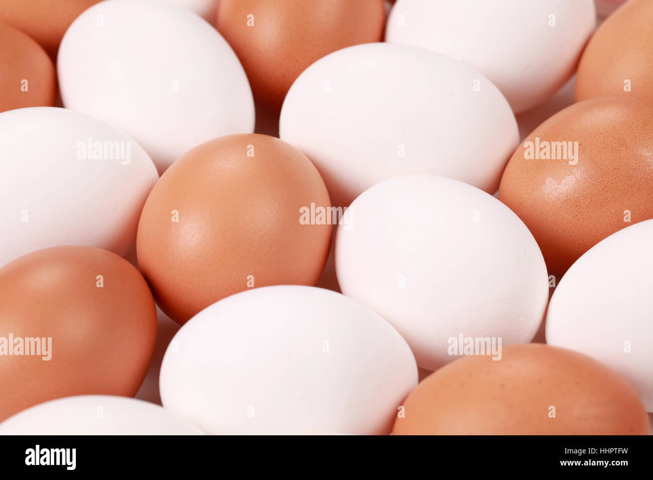 many white and brown eggs are adjacent Stock Photo - Alamy