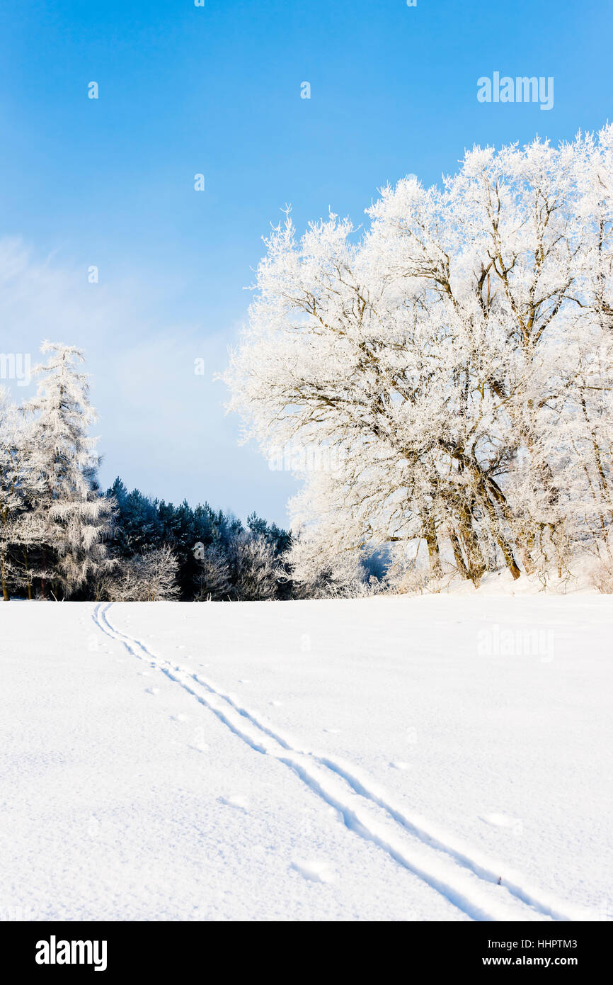 winter, snow, coke, cocaine, material, drug, anaesthetic, addictive ...