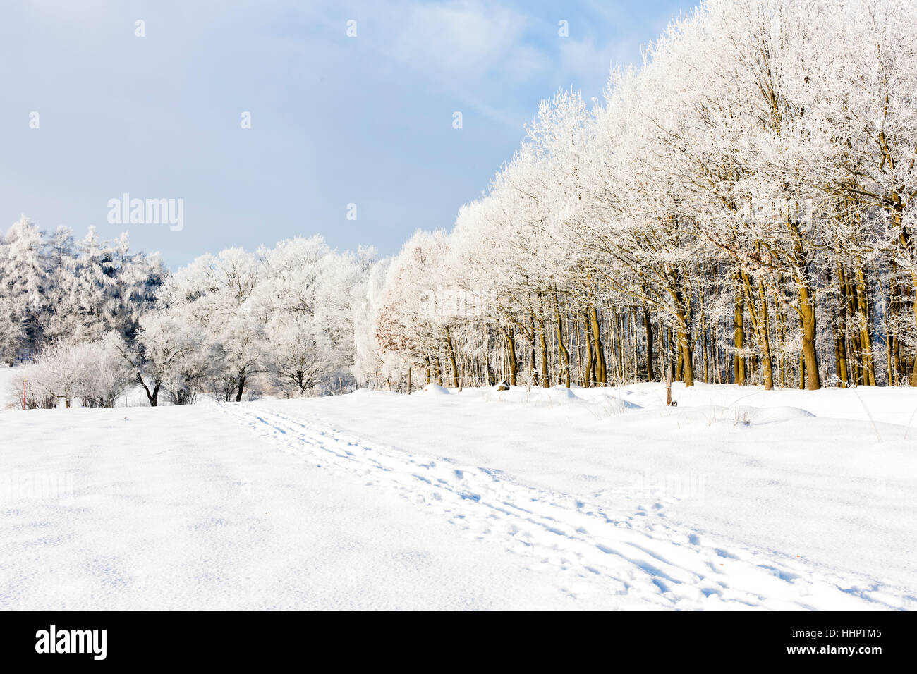 winter, snow, coke, cocaine, material, drug, anaesthetic, addictive ...