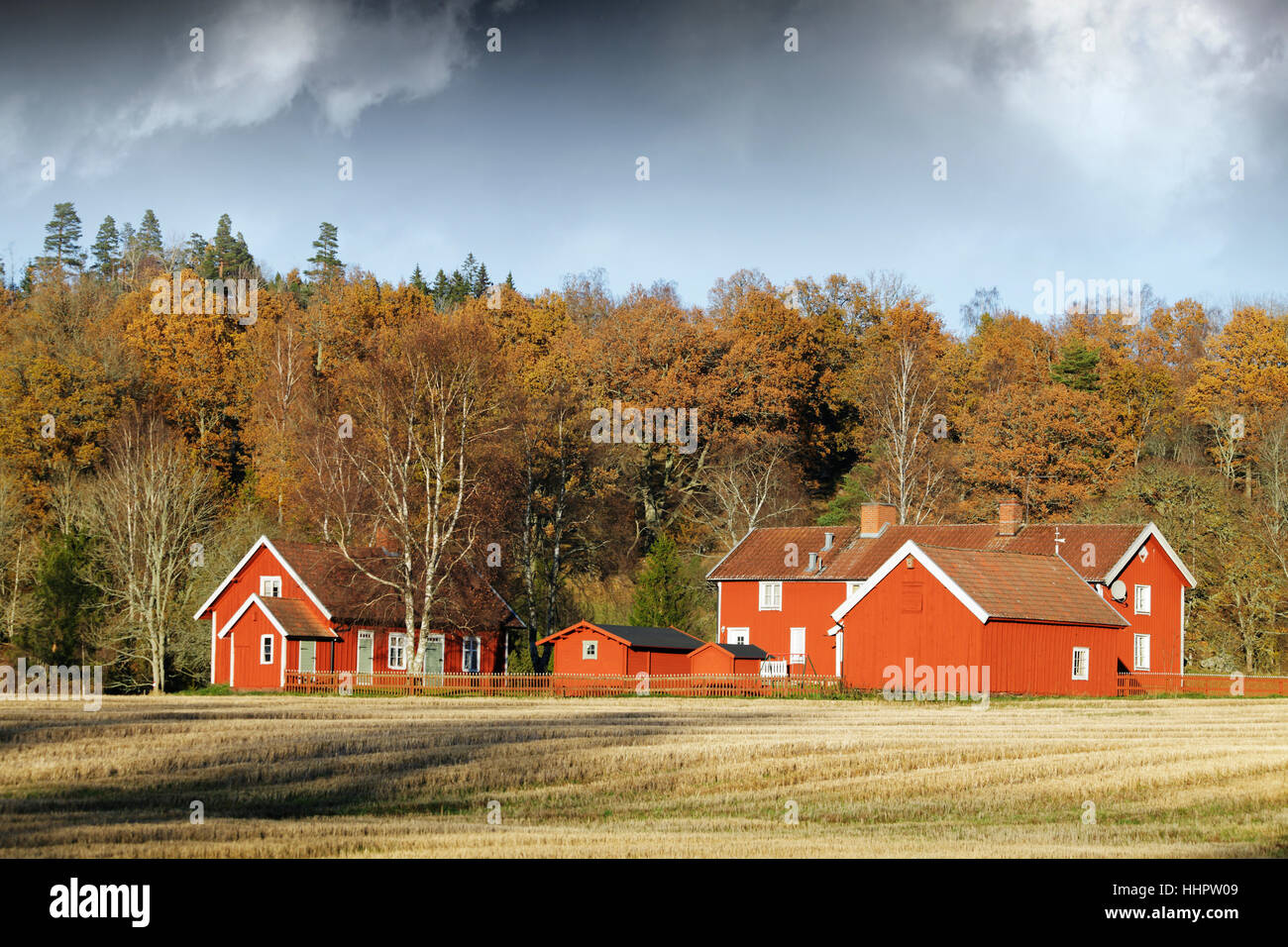 tree, trees, sweden, farm, landscape, scenery, countryside, nature ...
