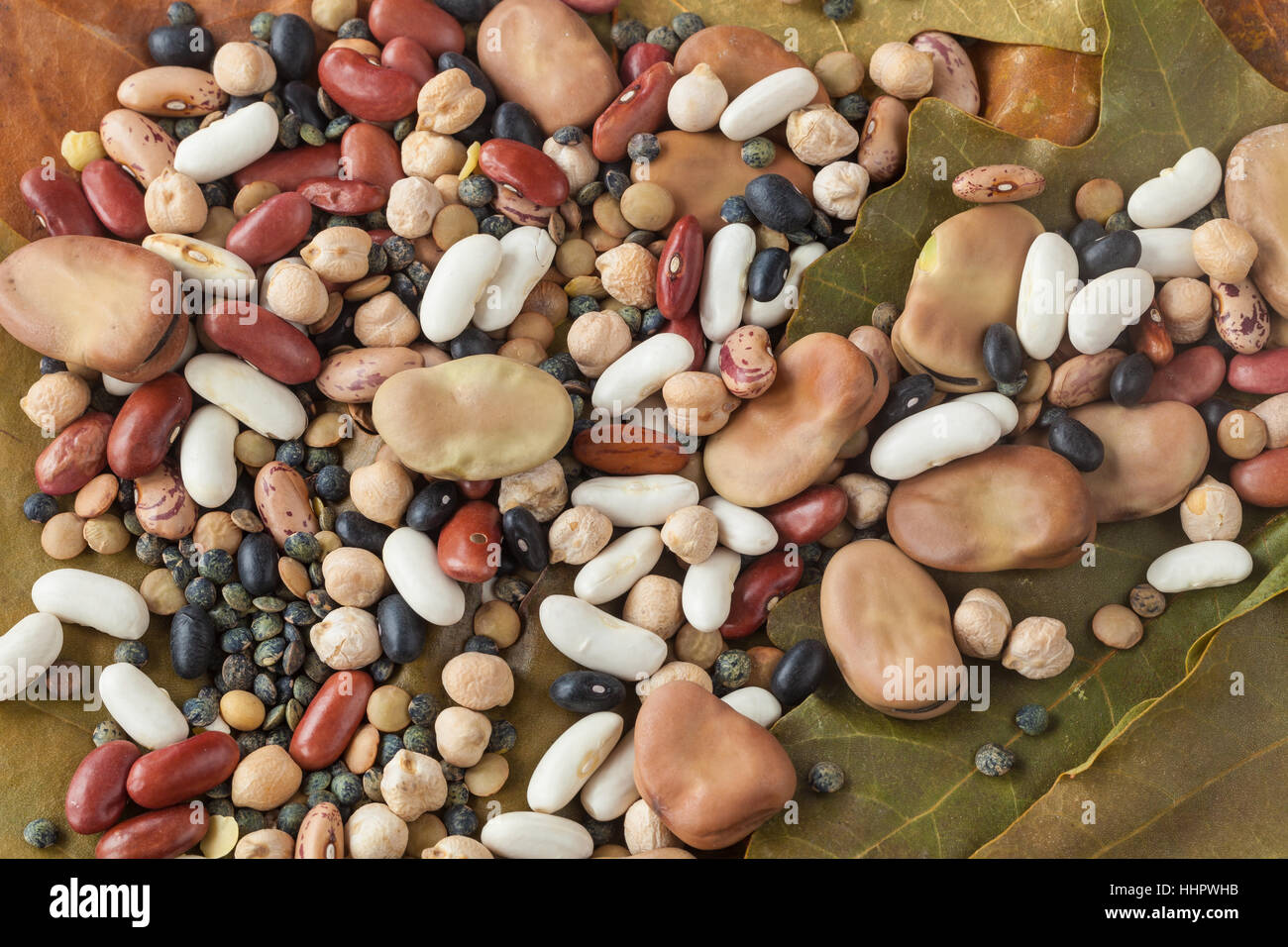 food, aliment, beans, assortment, vegetables, broad bean, chickpeas ...