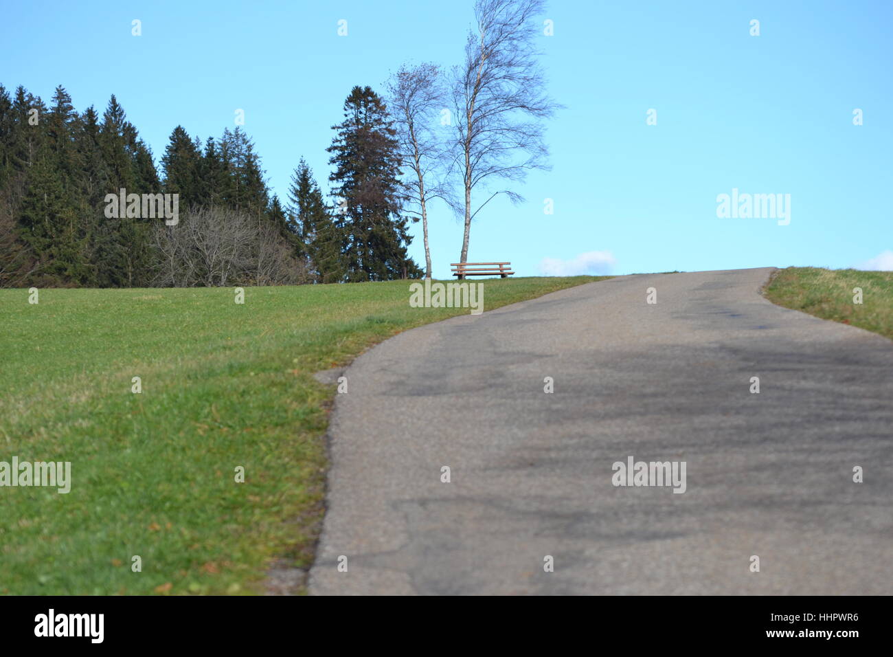 tree, sight, view, outlook, perspective, vista, panorama, lookout, high ...