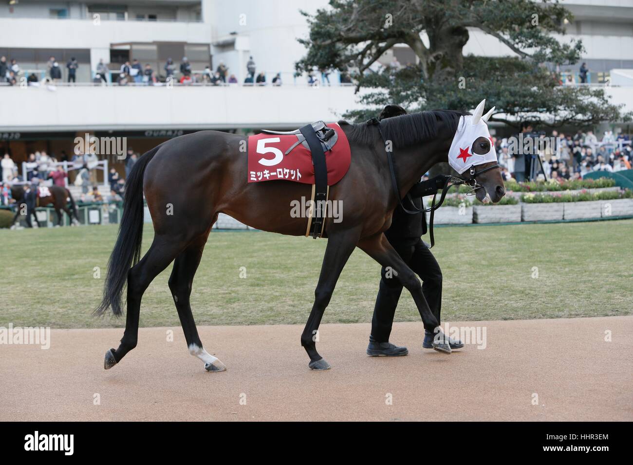 Rocket horse hi-res stock photography and images - Alamy