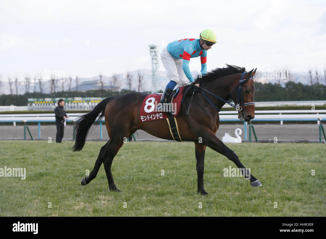 Kyoto, Japan. 17th Jan, 2017. Mondo Intero ( Vincent Cheminaud) Horse ...