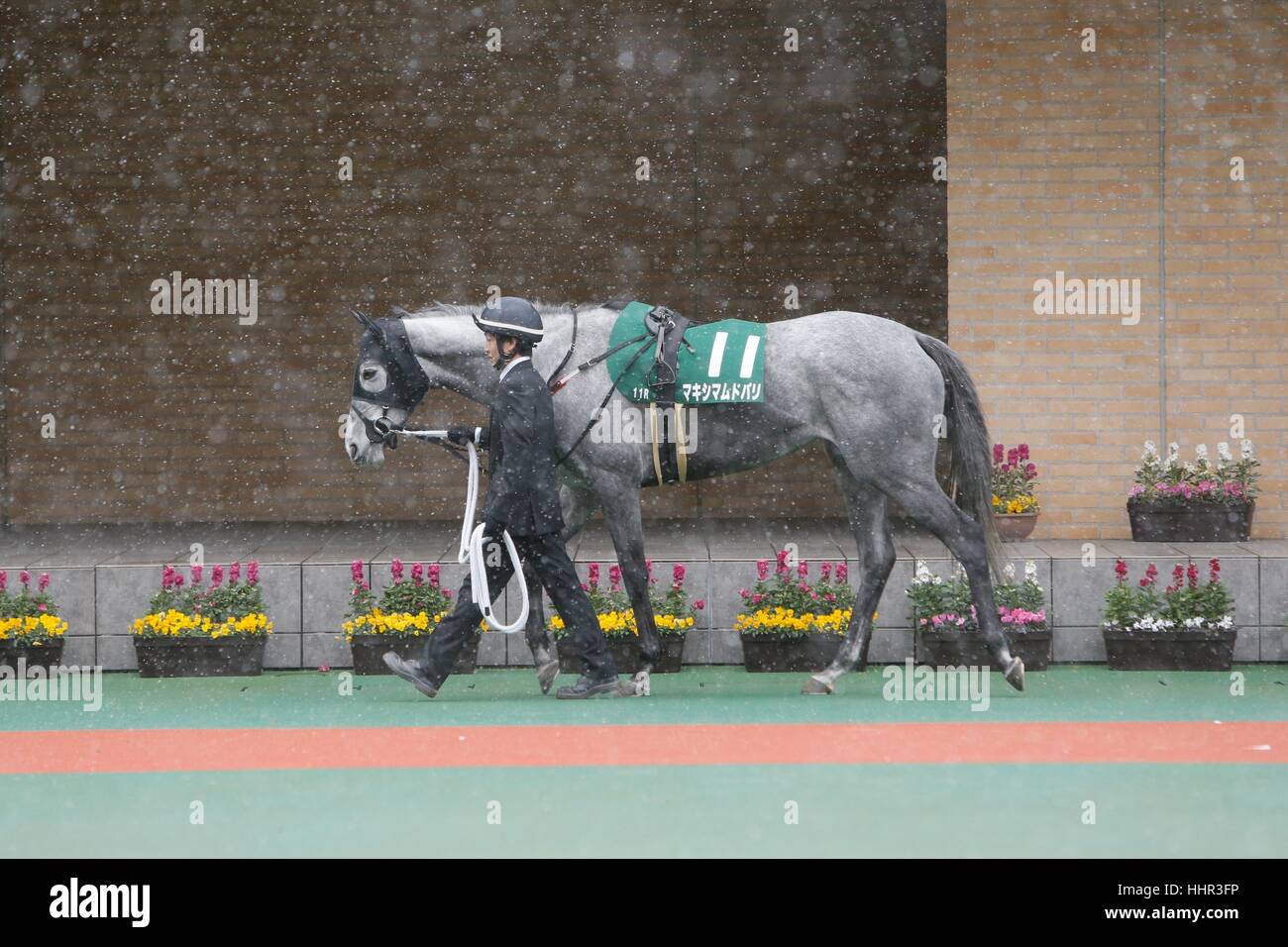 Aichi, Japan. 14th Jan, 2017. Maximum de Paris Horse Racing : Maximum ...
