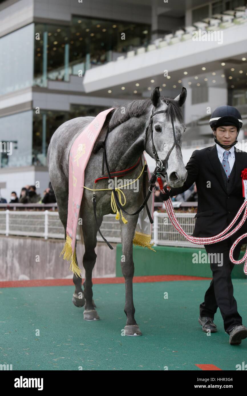 Aichi, Japan. 14th Jan, 2017. Maximum de Paris Horse Racing : Maximum ...
