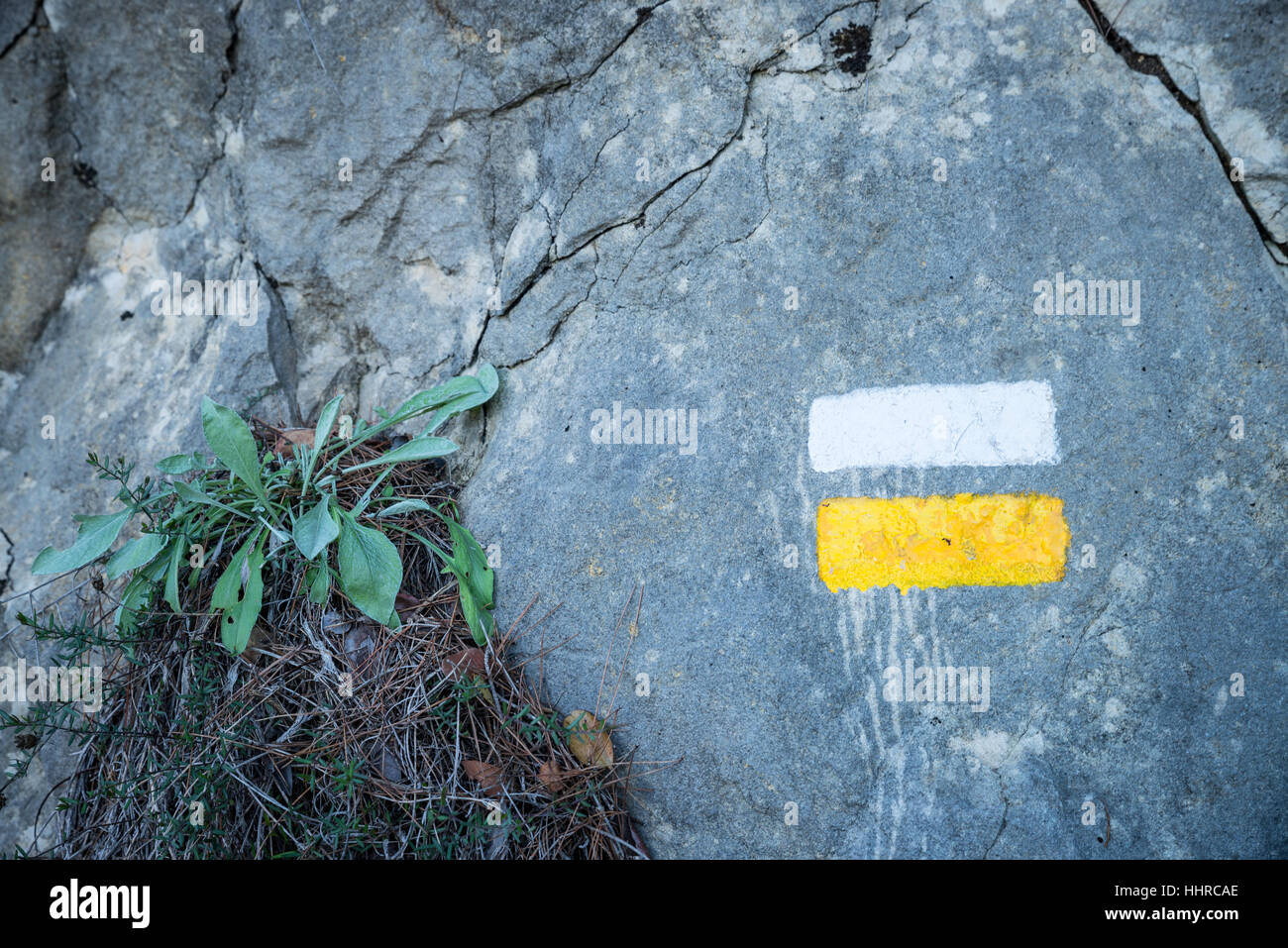 Hiking trail marker painted on a rock face Stock Photo - Alamy