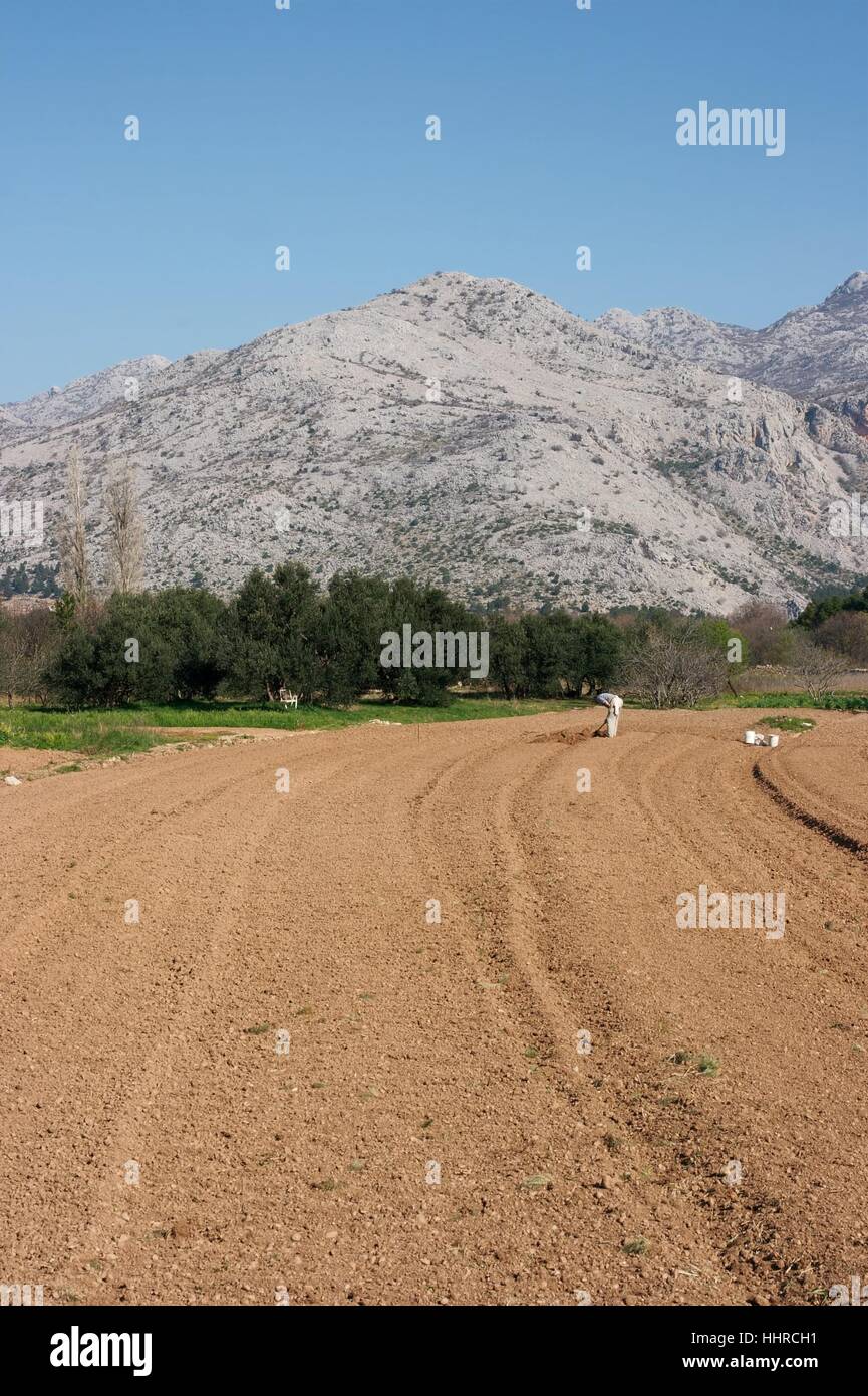 agriculture, farming, field, farm, farmer, land, planting, realty ...