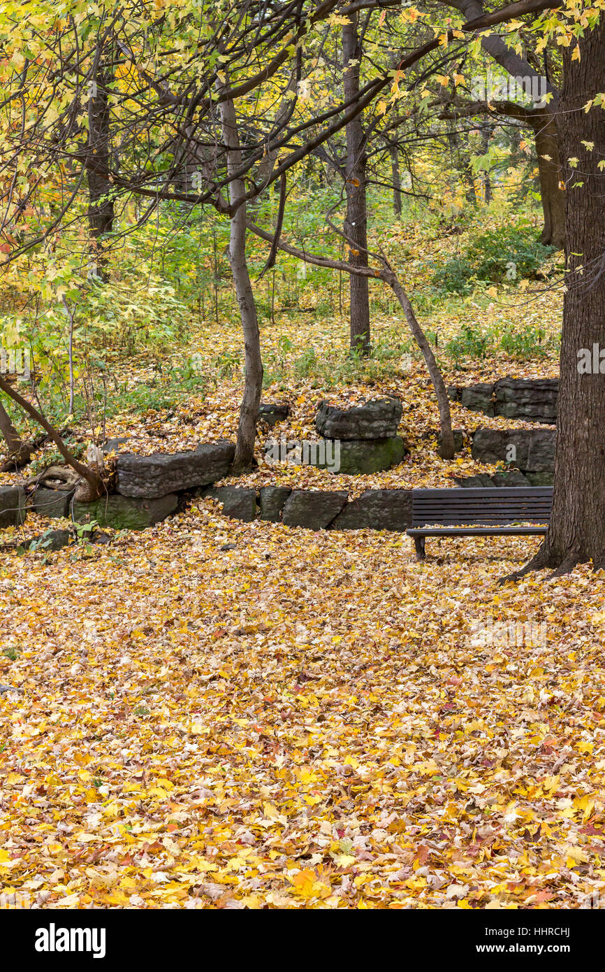 Mount royal park hi-res stock photography and images - Alamy